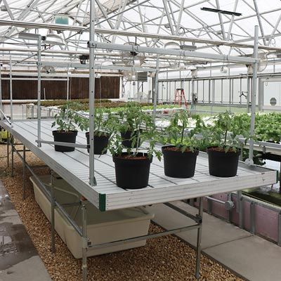 Greenhouse Rolling Benches