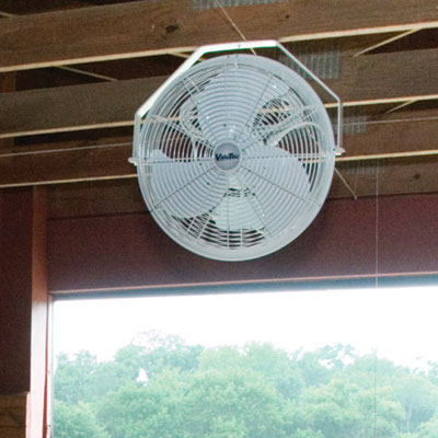 Horse Barn Ceiling Fans | Shelly Lighting