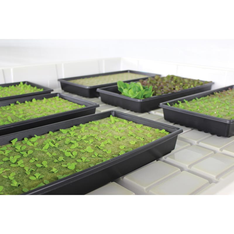 Hydroponic Float Large Tray